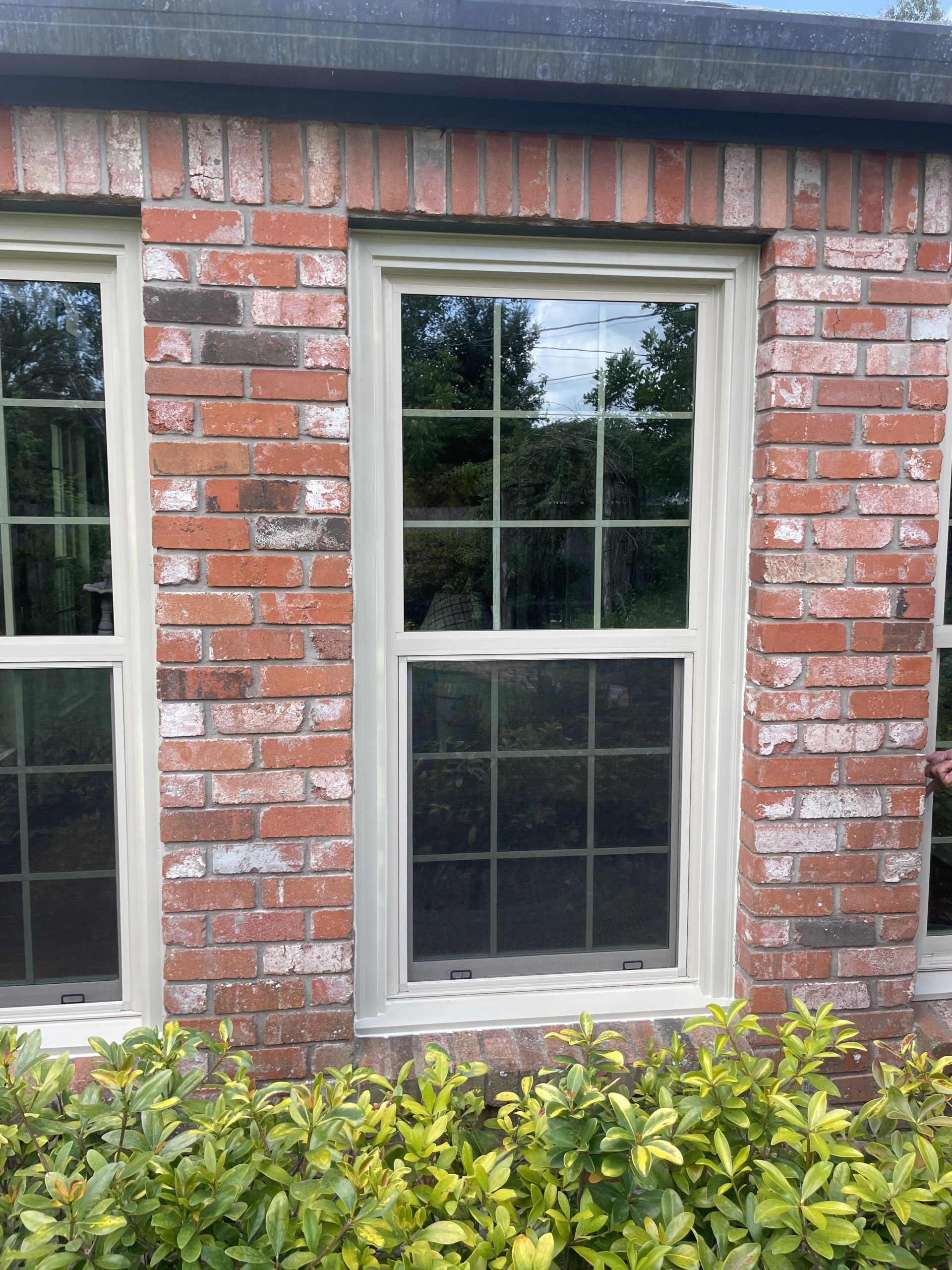 Single Hung Windows -Single Hung Windows Guardian Windows Guardian Windows